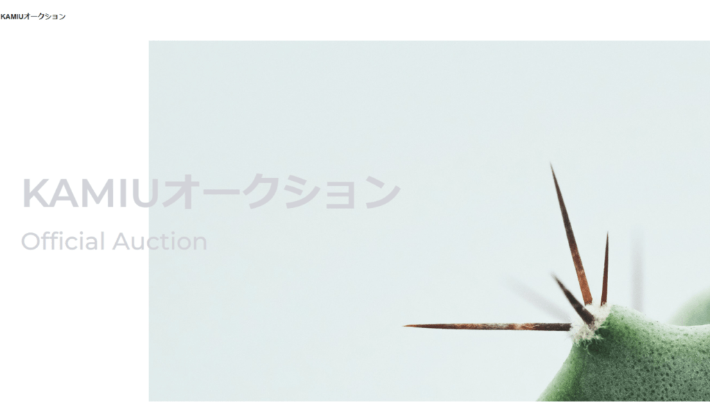 KAMIUオークションやります！使ってないものご出品ください。 | KAMIU [カミーユ]